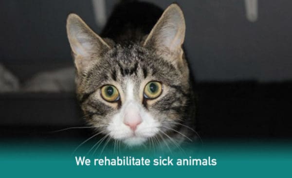 Freshfields Animal Rescue