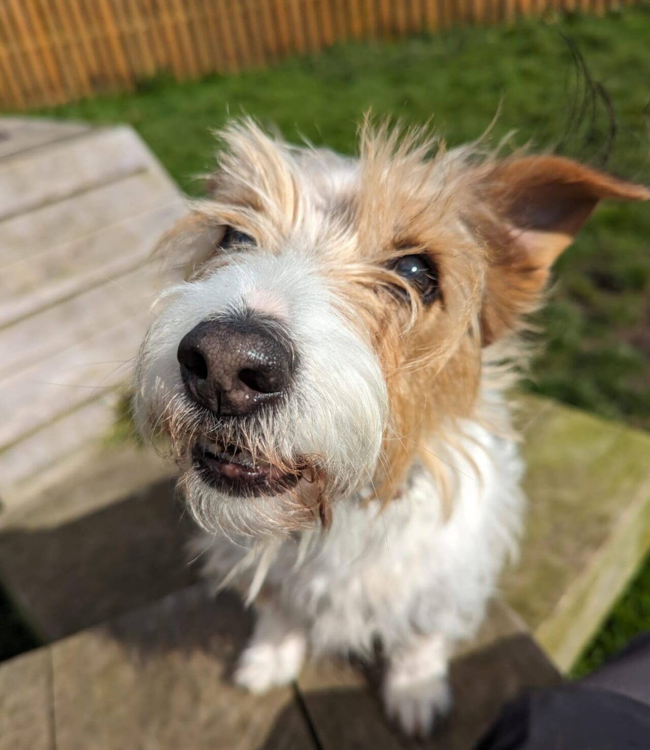 Freshfields Liverpool | Freshfields Animal Rescue