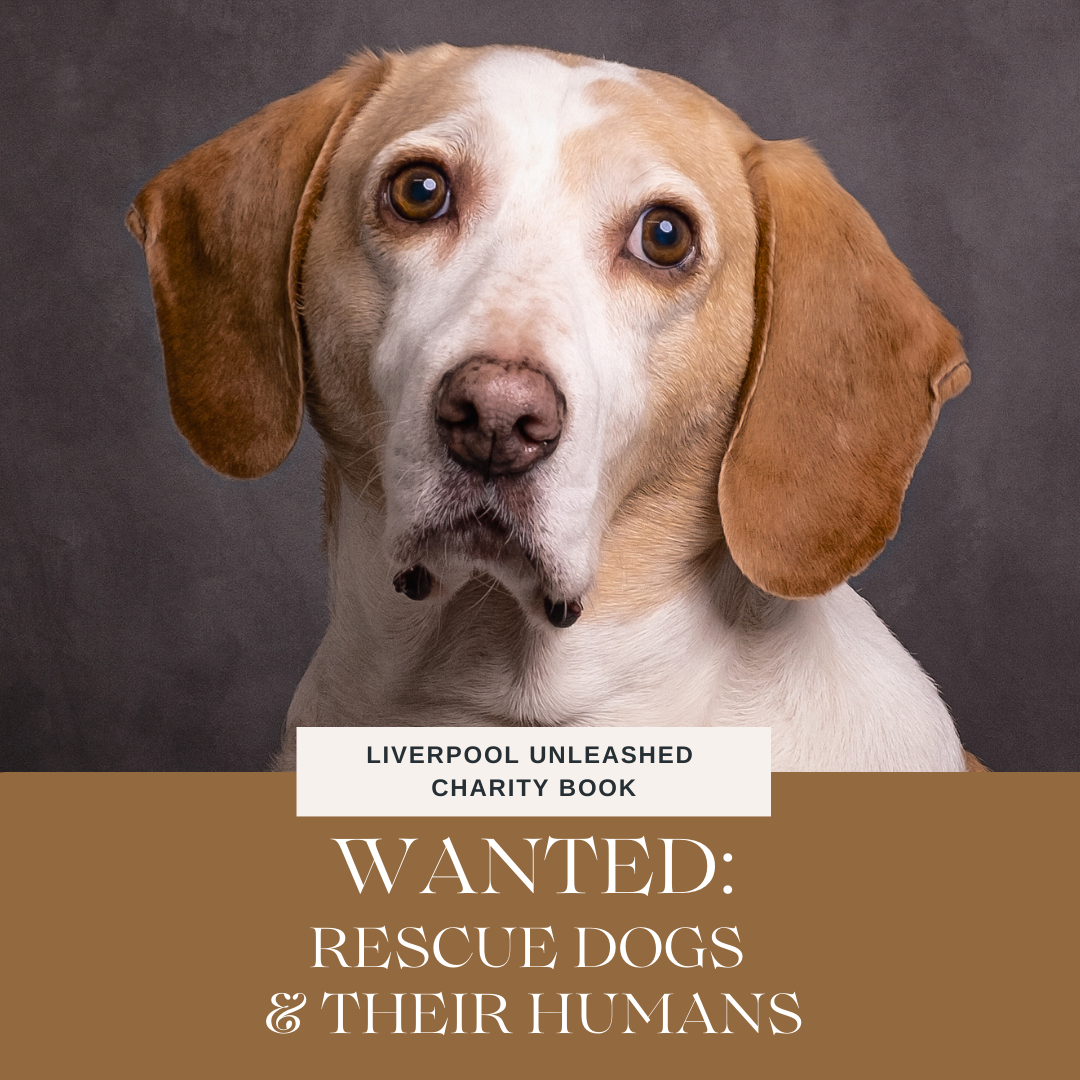 Freshfields Animal Rescue